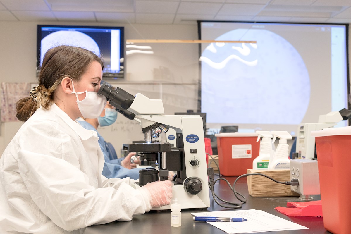 Marion Technical College: A gateway to in-demand Healthcare careers ...