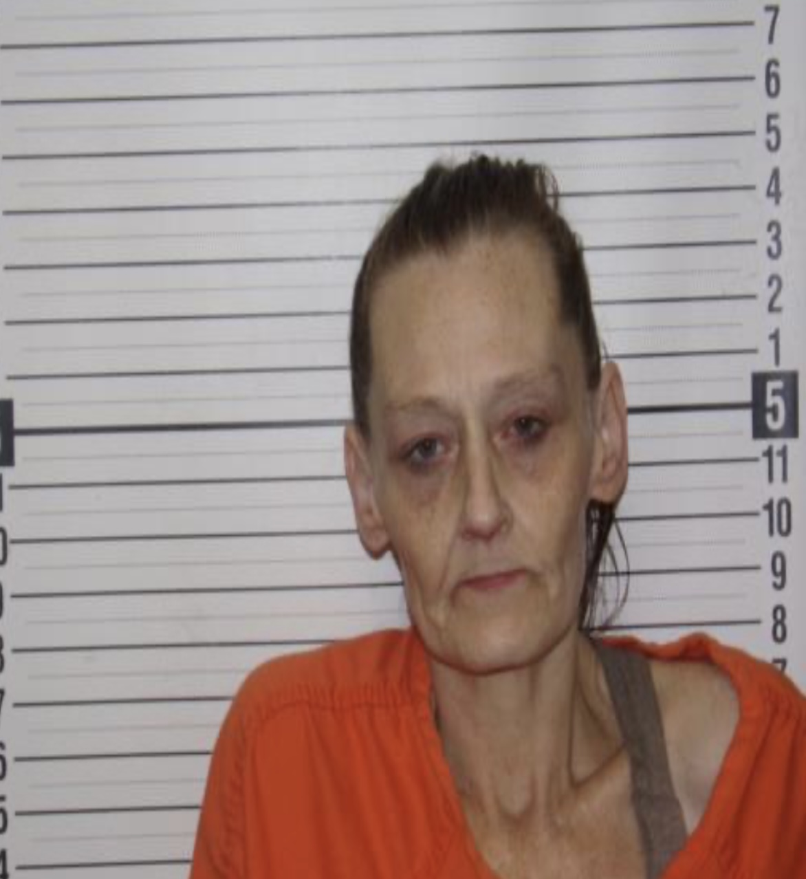 Marion County Mugshots - Marion County Now