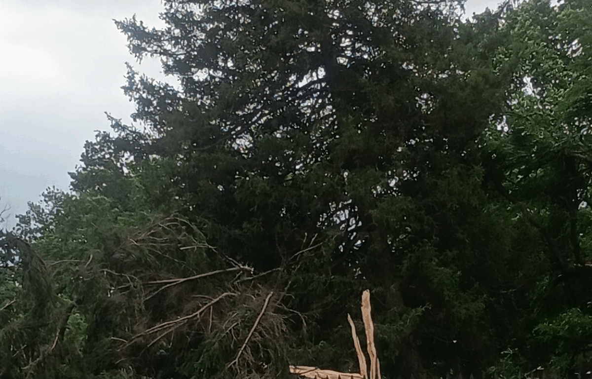 Marion hit hard in Wednesday storms - Marion County Now