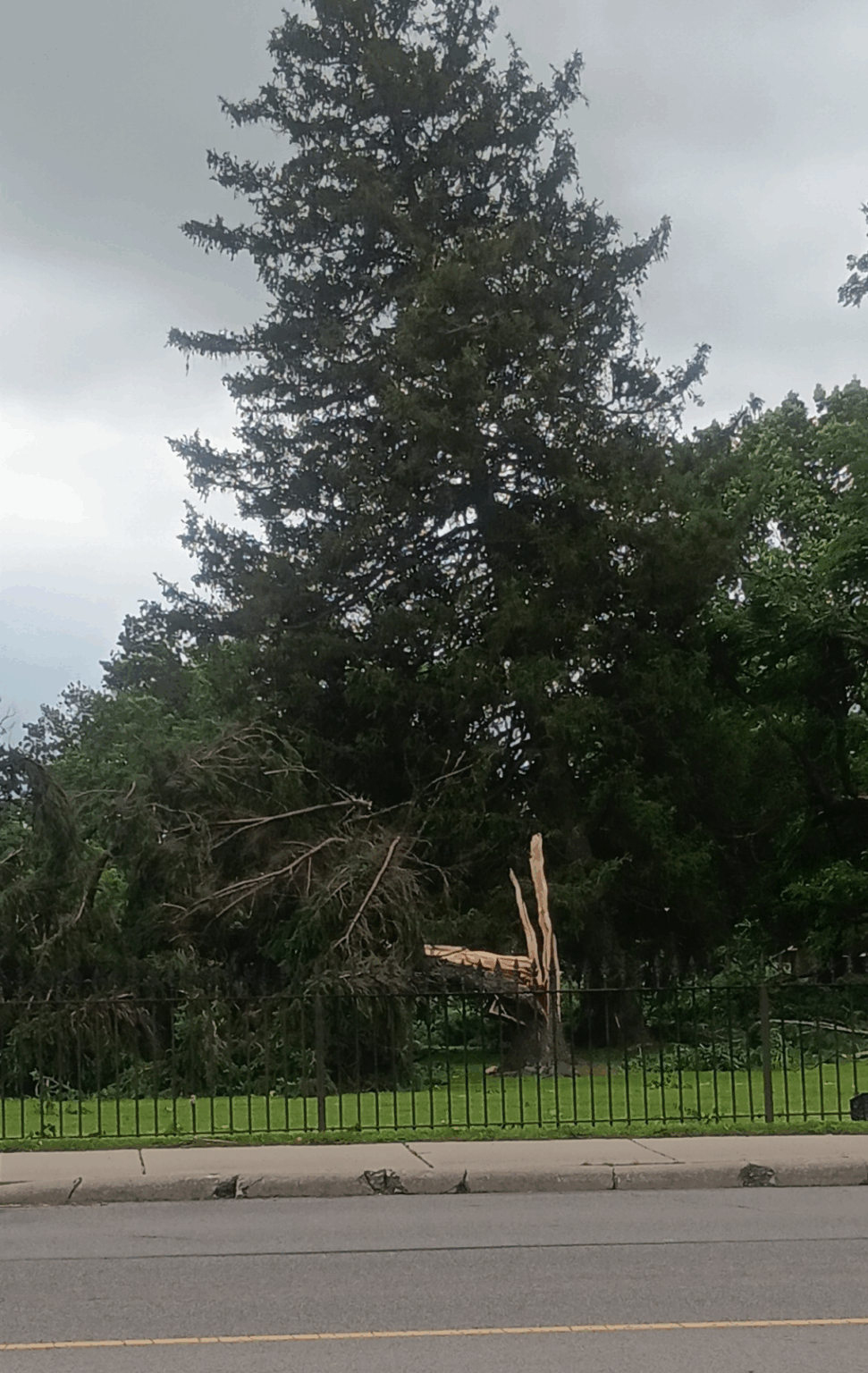 Marion hit hard in Wednesday storms - Marion County Now