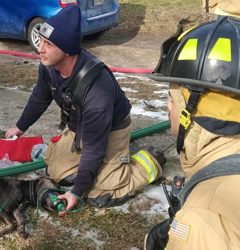 Local Firefighters save family pets in Windsor Street house fire ...
